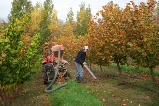 Harvesting equipment – Hazelnut Growers' Association of New Zealand